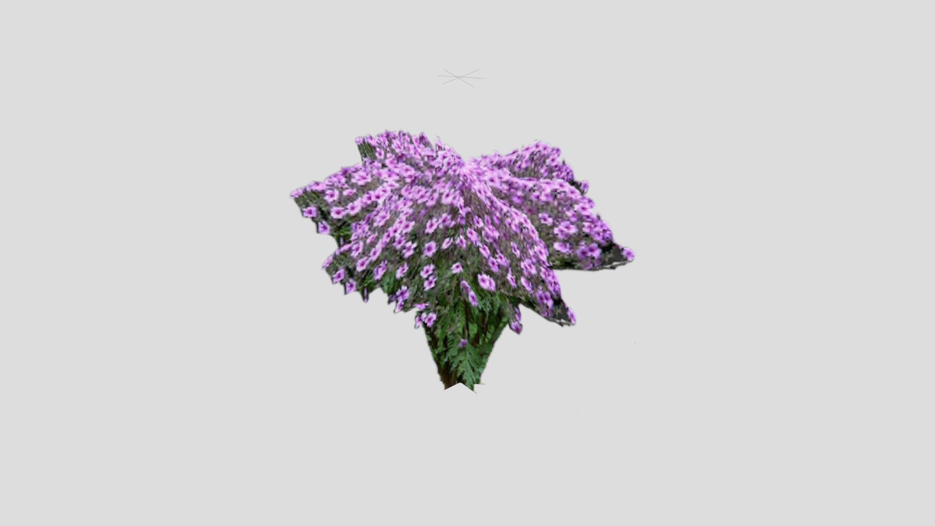 geranium - 3D model by Setima77 [b69a98b] - Sketchfab