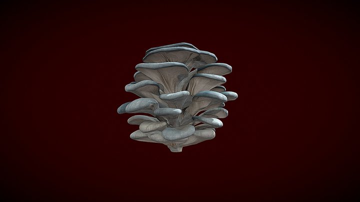 Organic 3D models - Sketchfab