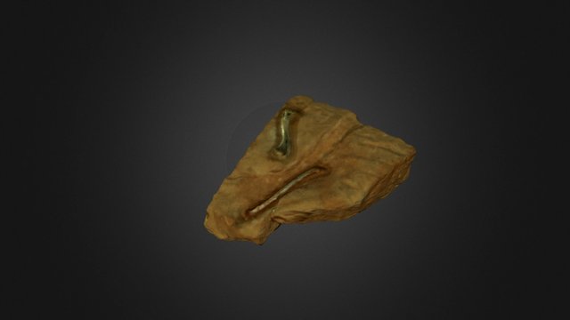 Mariliasuchus 3D models - Sketchfab