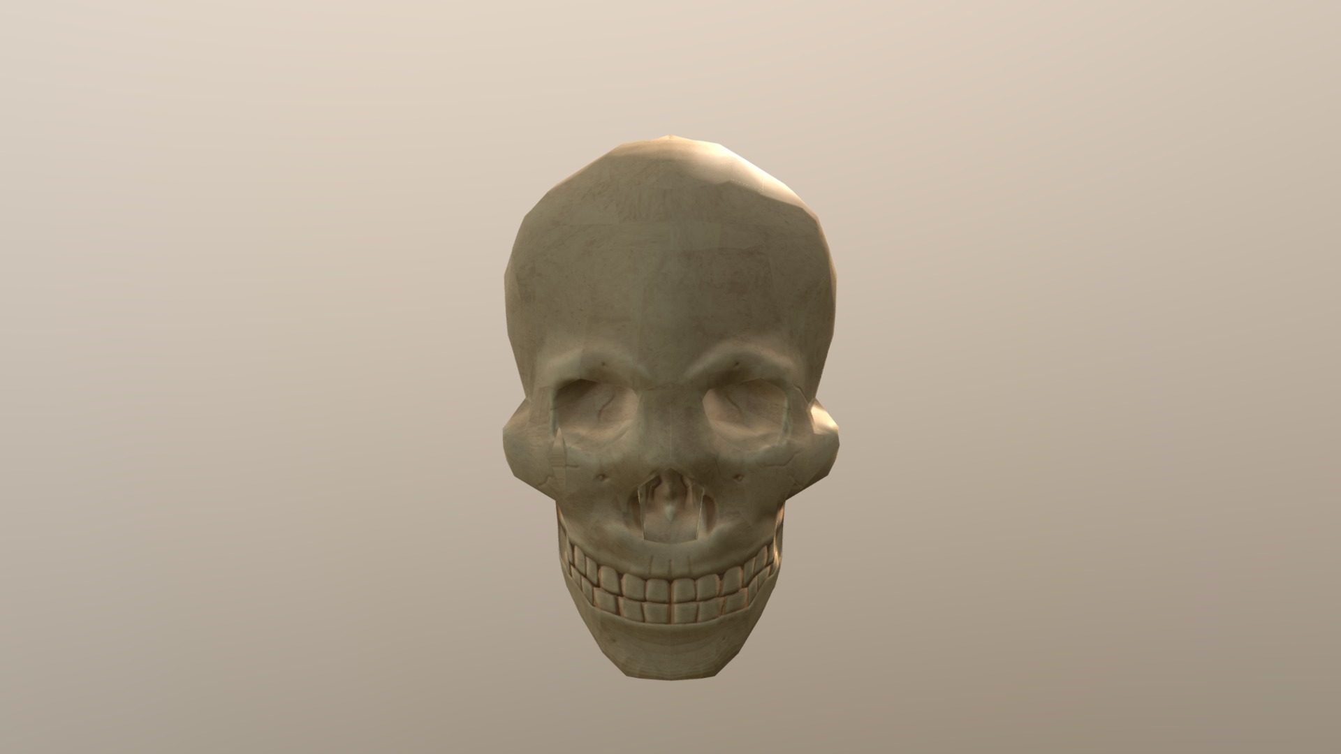 Skull - 3D model by Anufenrir [b6a5729] - Sketchfab