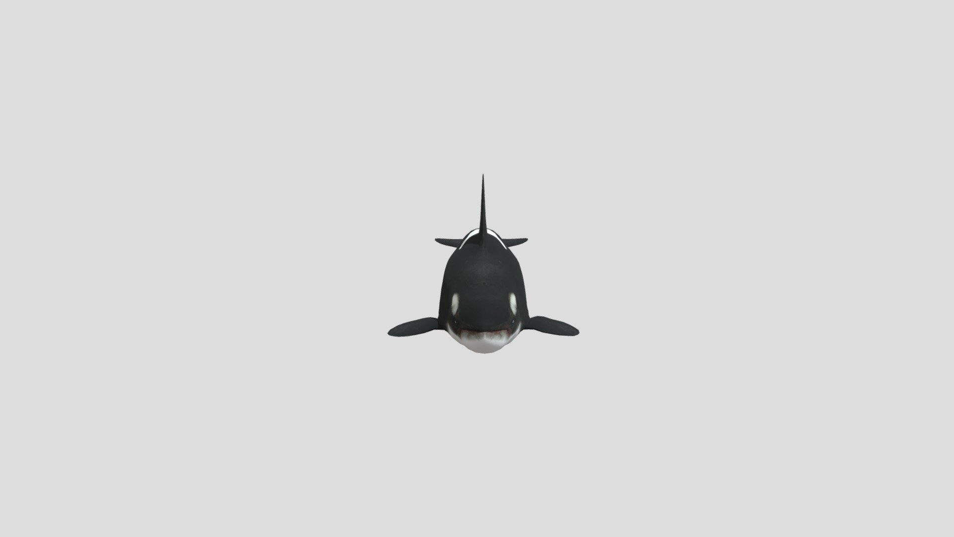 Orca (Killer-Whale) - Download Free 3D model by planeta-elefante ...