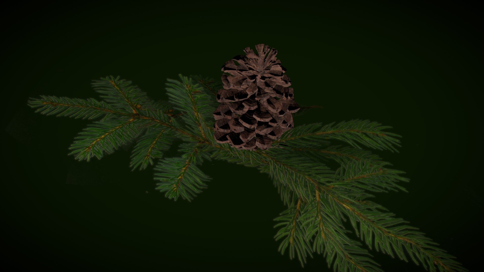 Pine Cone - Download Free 3D model by Julia Lemke (@julialemke ...
