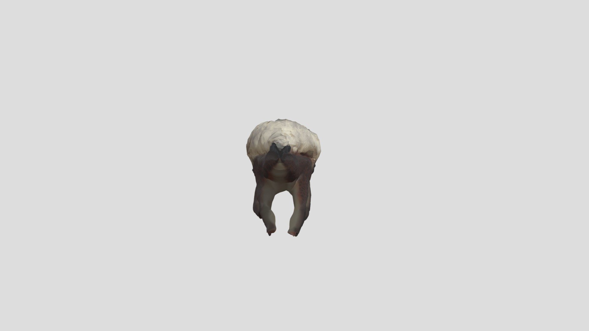David Lin - Animated Creature - Download Free 3D model by Spacebender ...
