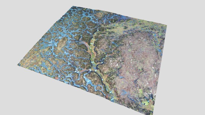 Peat 3D models - Sketchfab