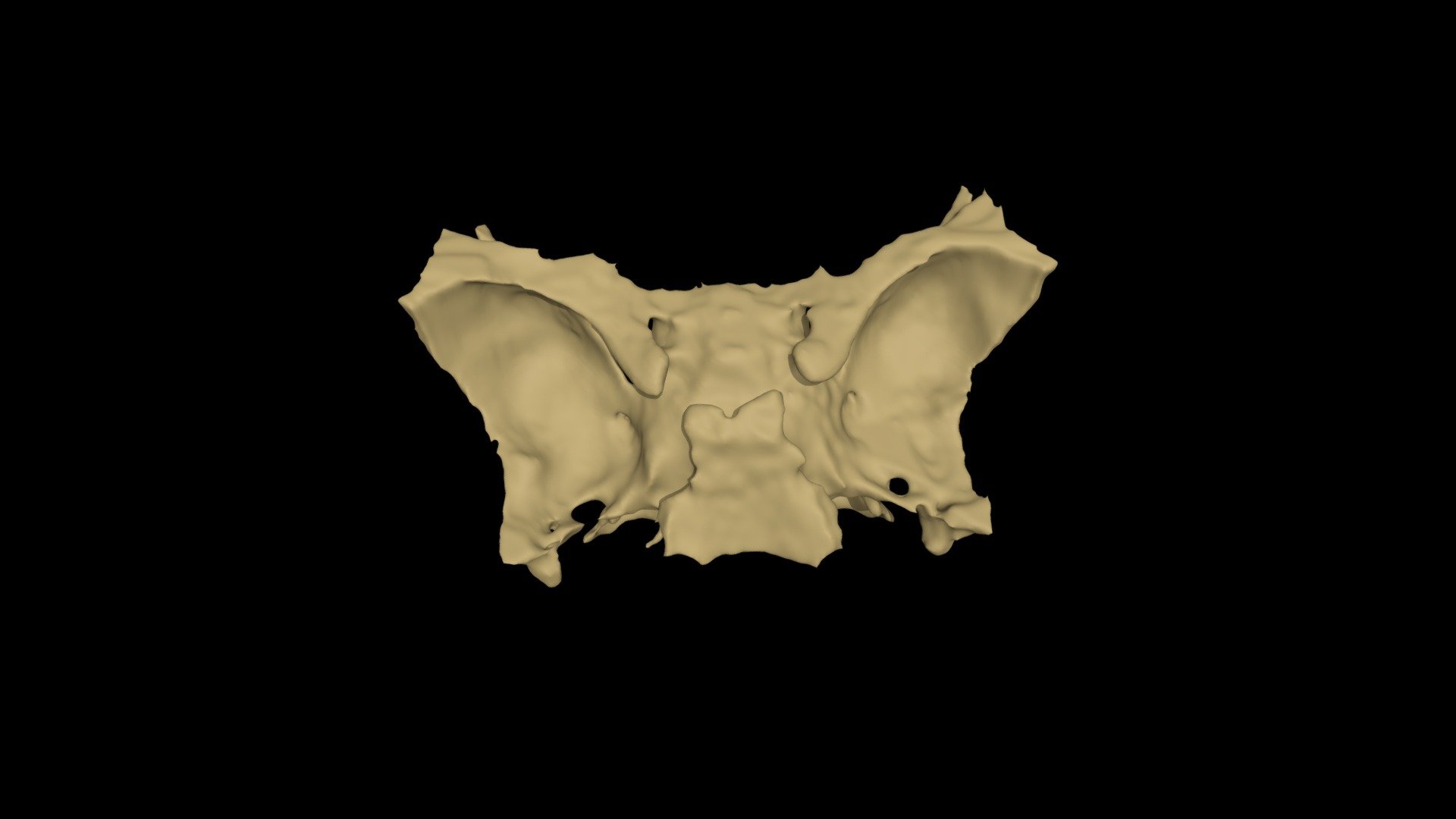 Sella - Bony Landmarks - 3D model by Justin Cramer (@jcramer) [b6ae717 ...
