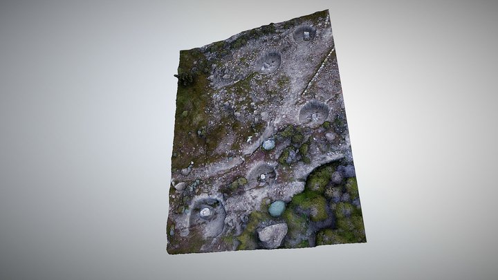 Petrification 3D models - Sketchfab