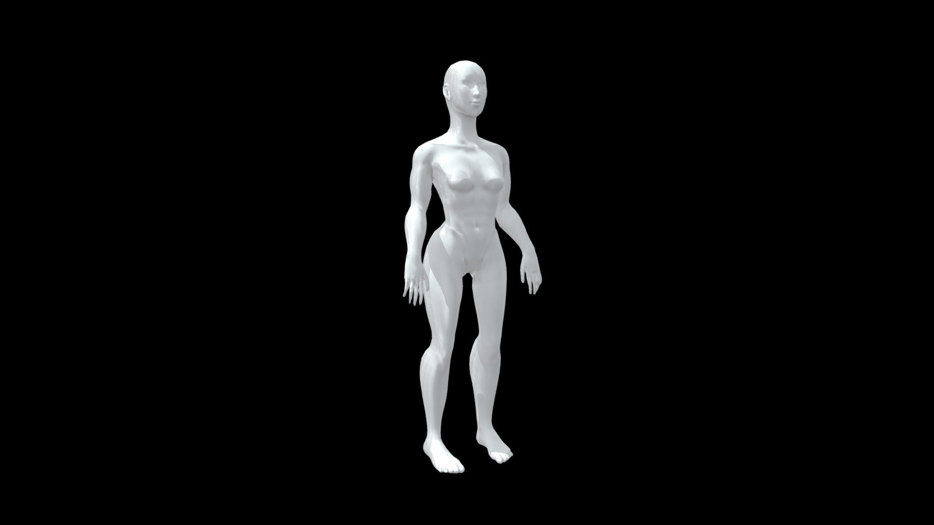 Referencias Anatómicas - Download Free 3D model by Kikikokorochan ...