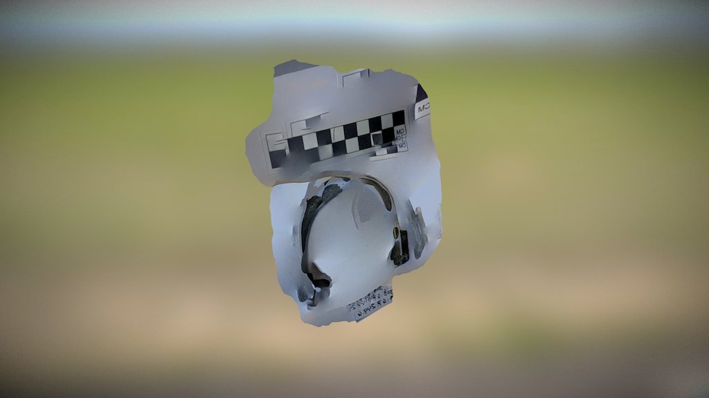 Spur - 3D model by batma004 [b6b6b7f] - Sketchfab
