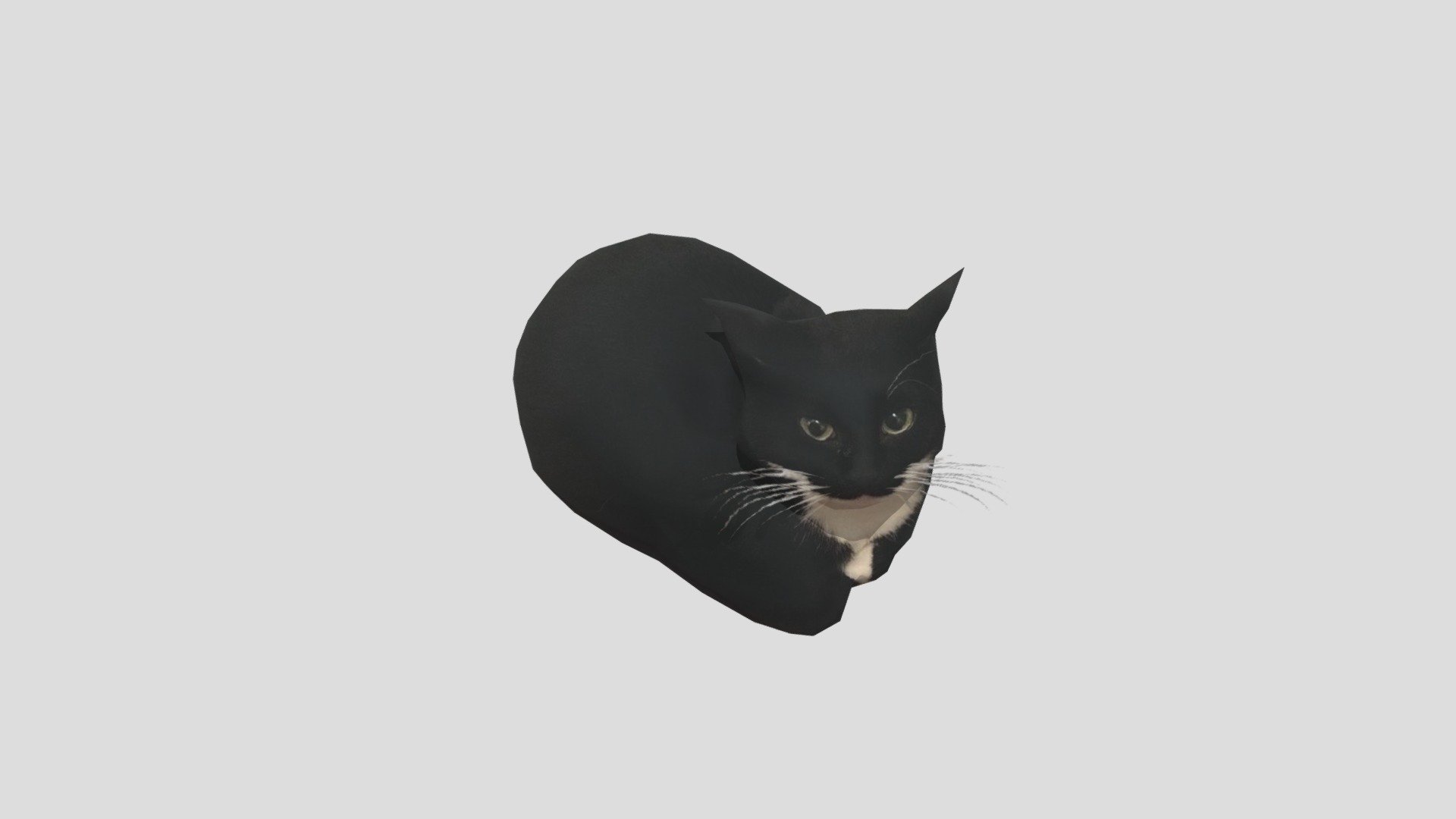 maxwell - 3D model by Cyan (@CyanRainbowFriend1) [b6c1570] - Sketchfab