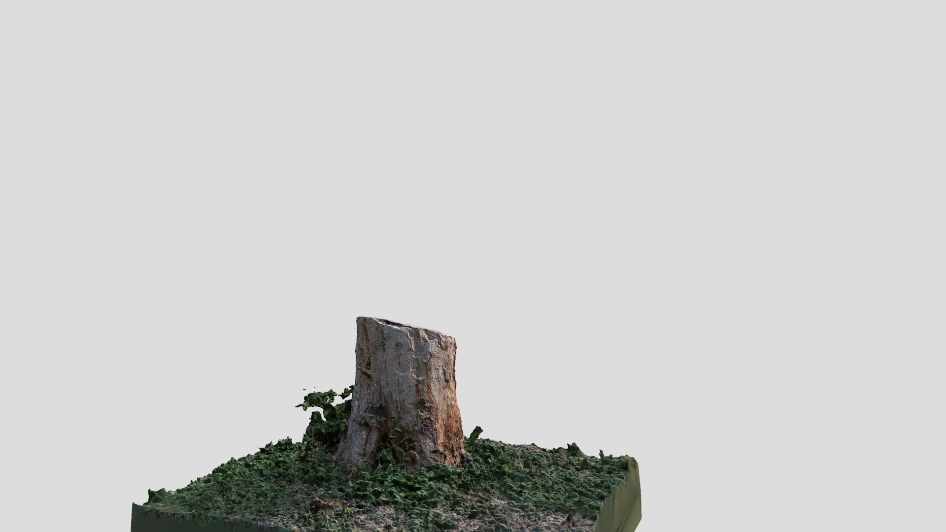 Decaying trunk - Download Free 3D model by Cyril Gregoire ...