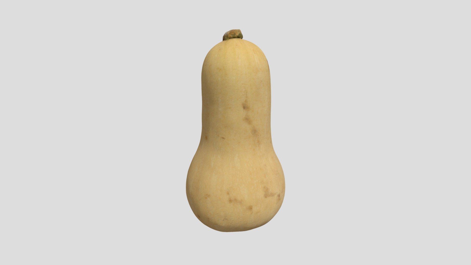 Butternut-squash - 3D model by Tonkhaw.Chalongratt [b6c2de6] - Sketchfab