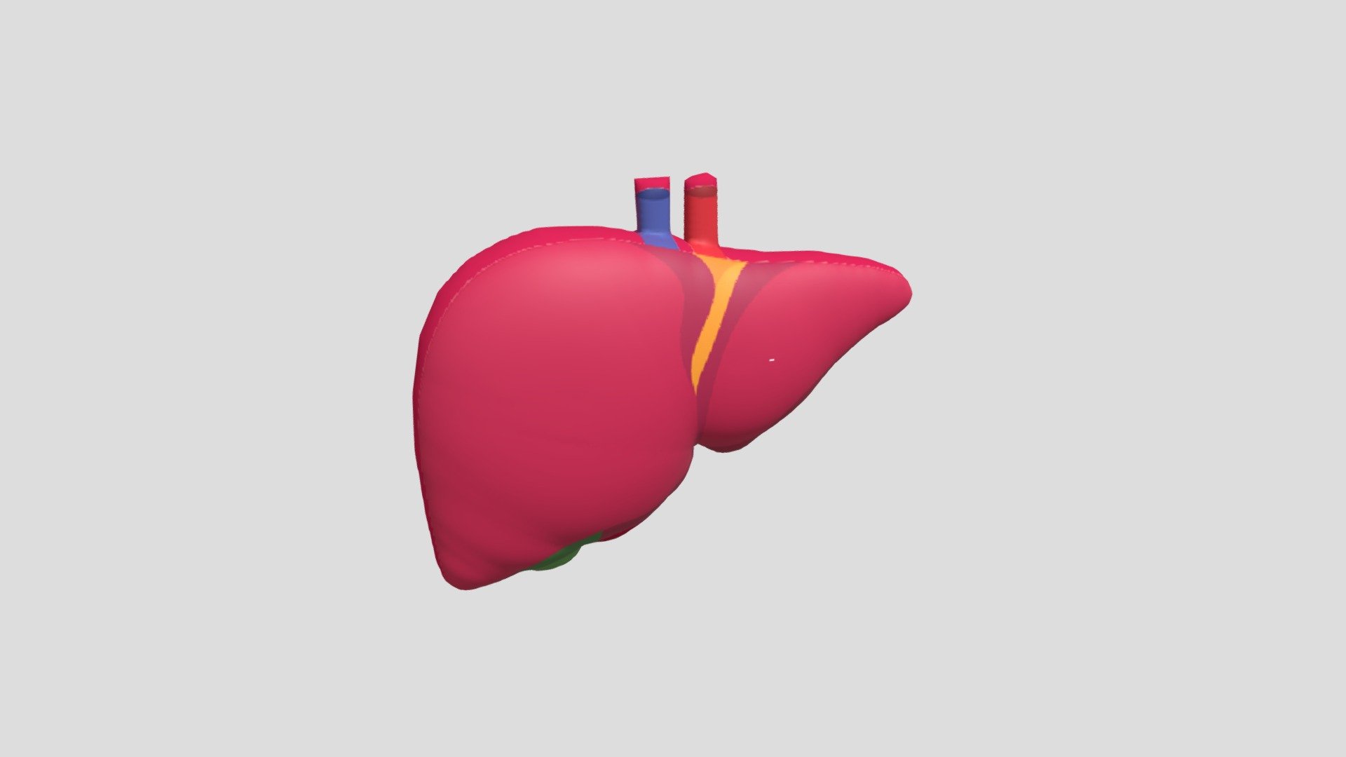 Project 3_HATI_NA - Download Free 3D model by nuzululazmi08 [b6c5a13 ...