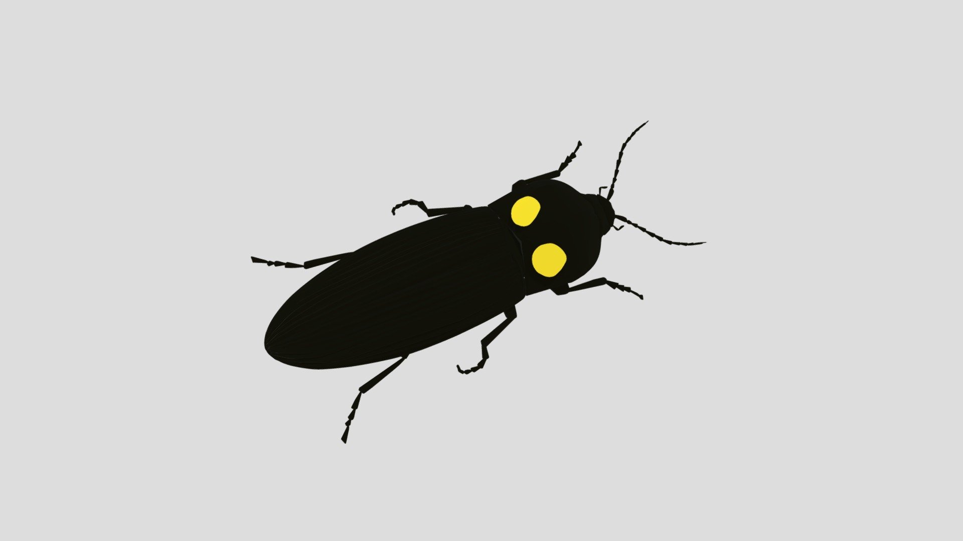 Click Beetle - 3D model by NCState_DELTA (@NCState) [b6c6cbe] - Sketchfab