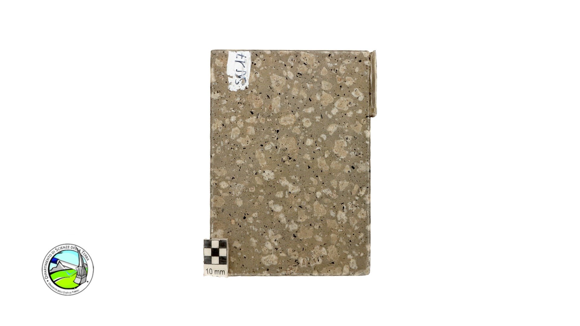 SN17 - Trachite - 3D model by Dipartimento di Scienze della Terra ...