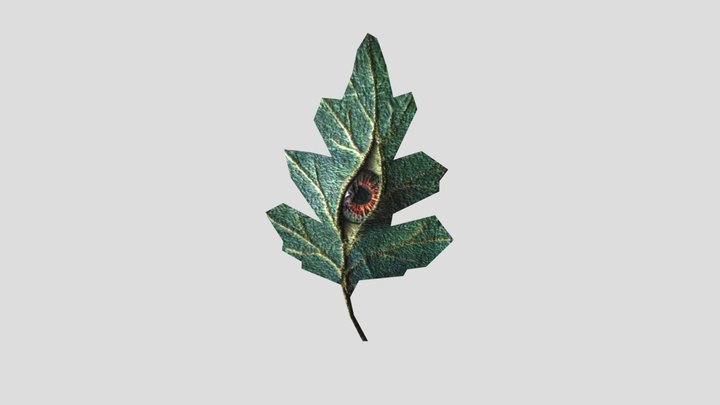 Leaf-tree 3D models - Sketchfab