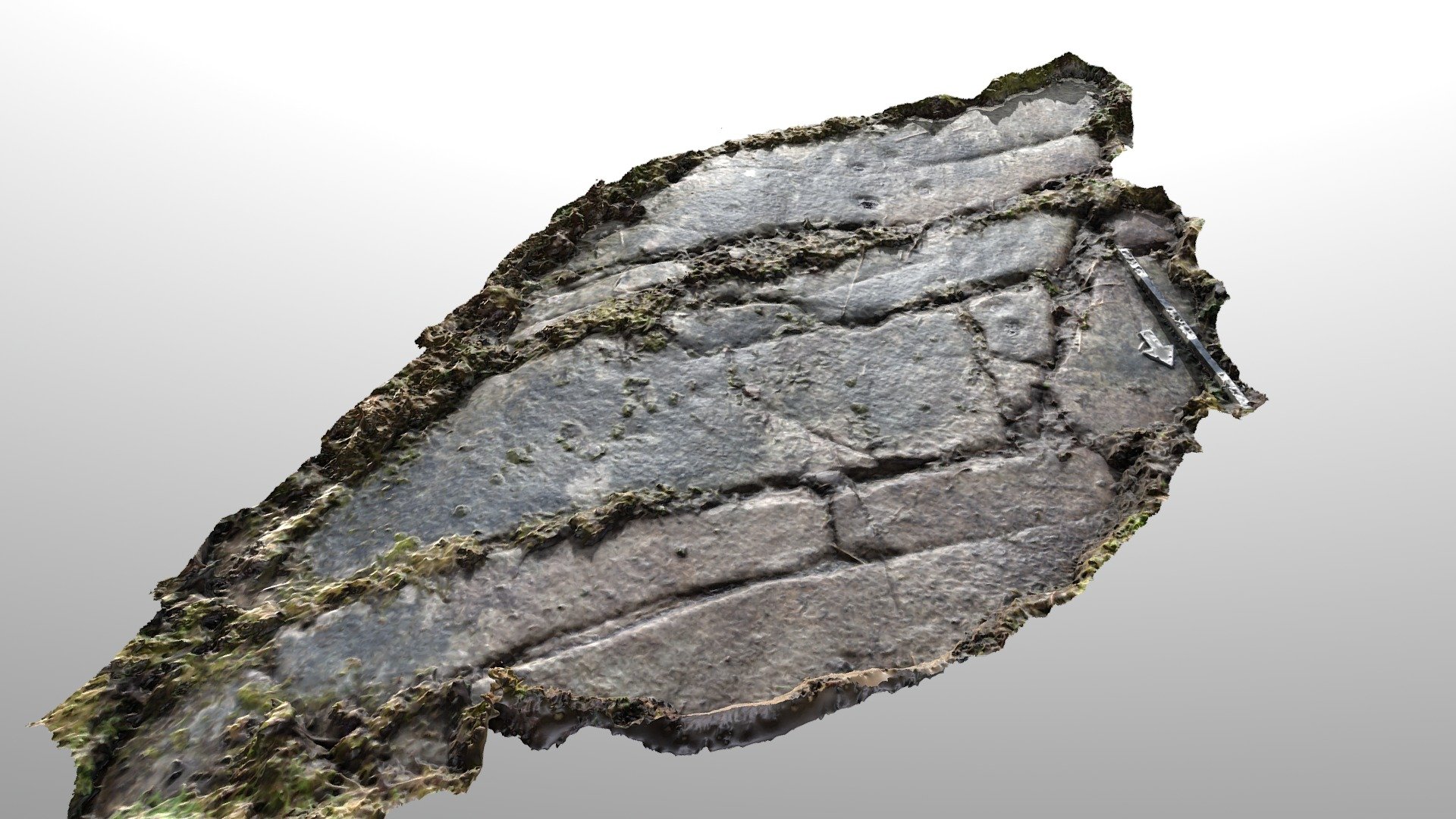 Asknish cup-marked outcrop, Lochgair, Argyll - 3D model by purves ...