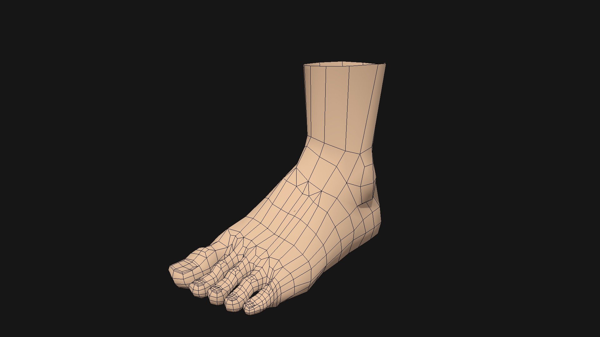 Human Foot Base Mesh - Download Free 3D model by ferrumiron6 [b6dd50f ...