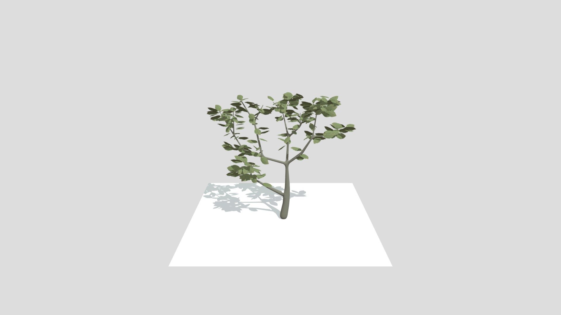 tree - Download Free 3D model by koj.macmini003 [b6e3b63] - Sketchfab