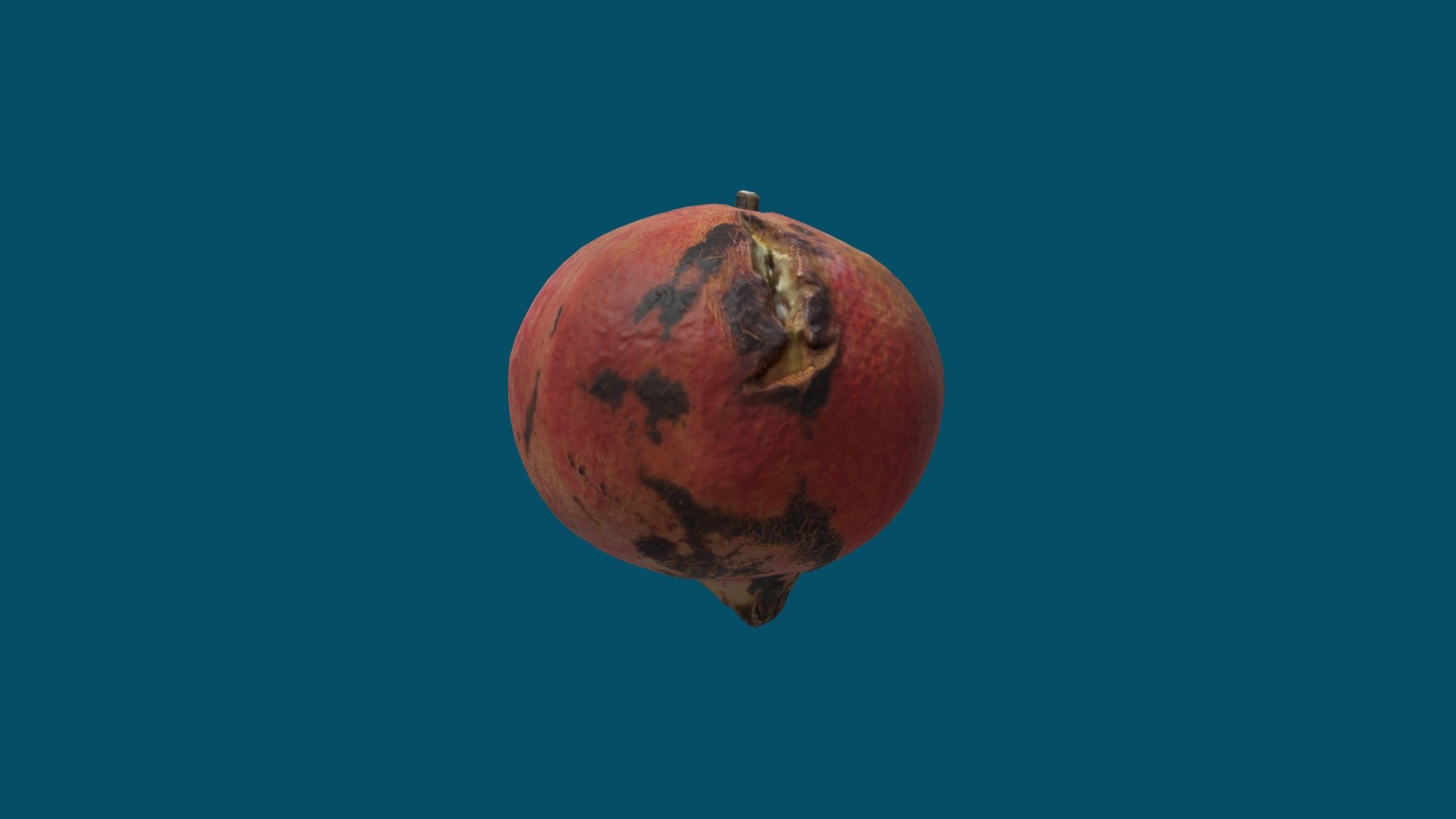 Pomegranate Scan - Download Free 3D model by GattalupaGames [b6e86bd ...