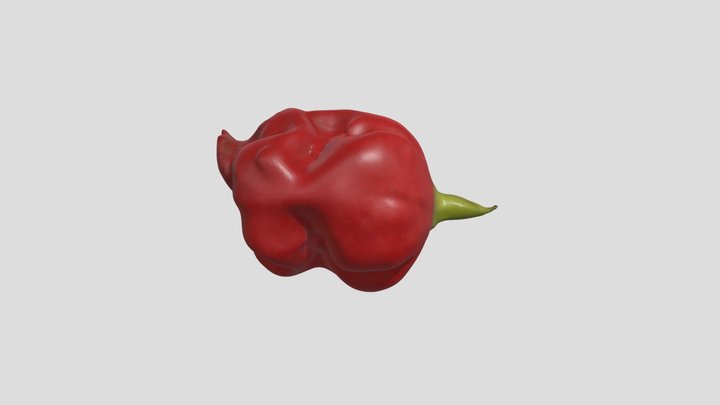 Chilli 3D models - Sketchfab