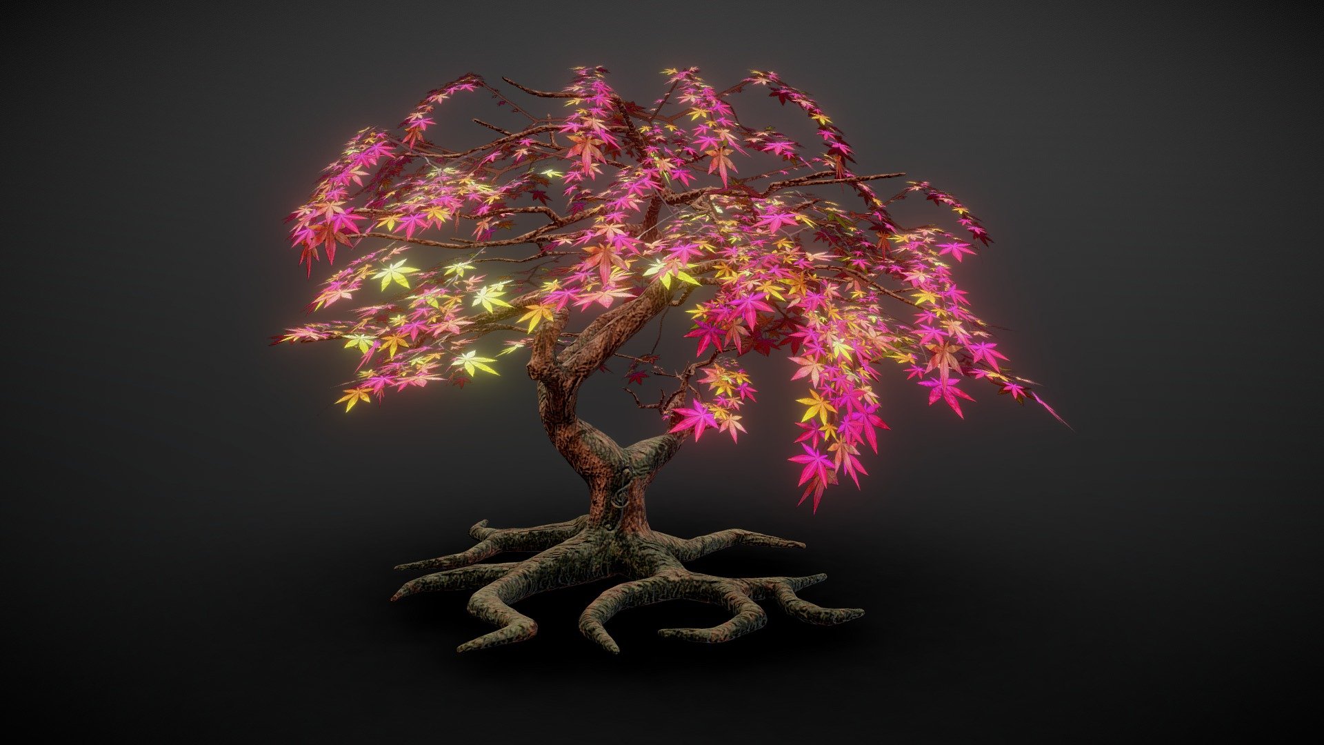 Japanese Maple Tree - Download Free 3D model by OliverMatheGames ...