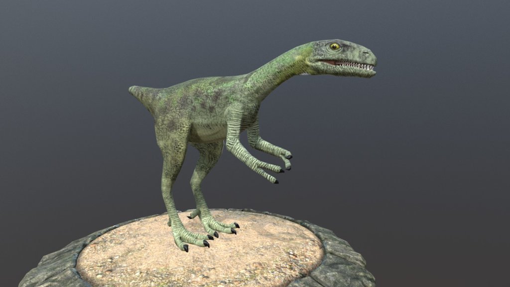 Compsognathus - 3D model by Yode (@yodegroup) [b6ef8c5] - Sketchfab