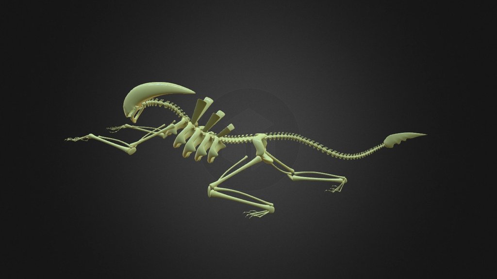 Alien Skeleton pile of bones Anim - 3D model by Chaitanya Krishnan ...