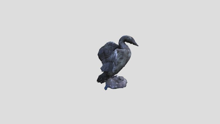 Loon 3D models - Sketchfab