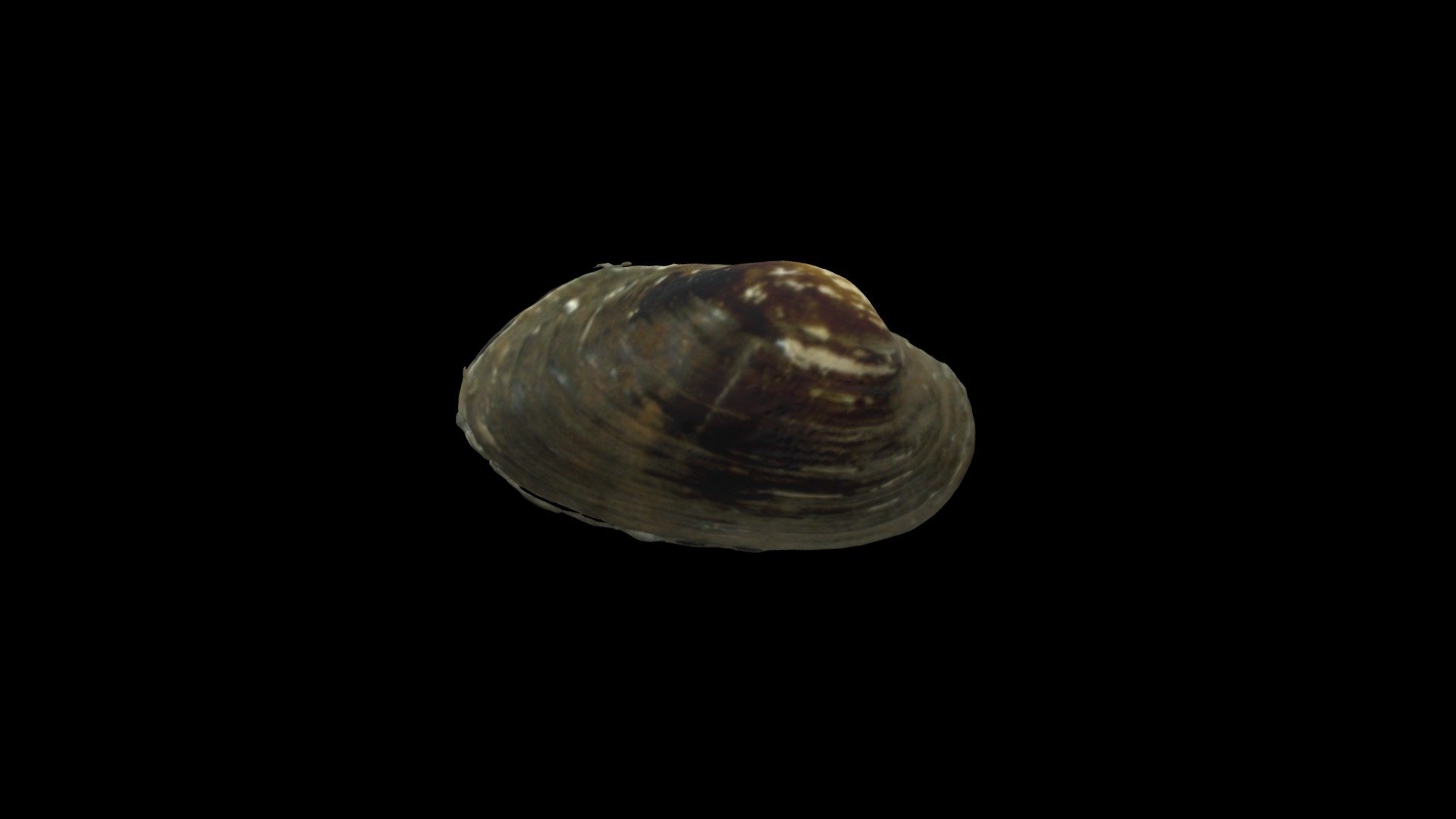 Creeper/Strange Floater - Download Free 3D model by atolin [b702d51 ...