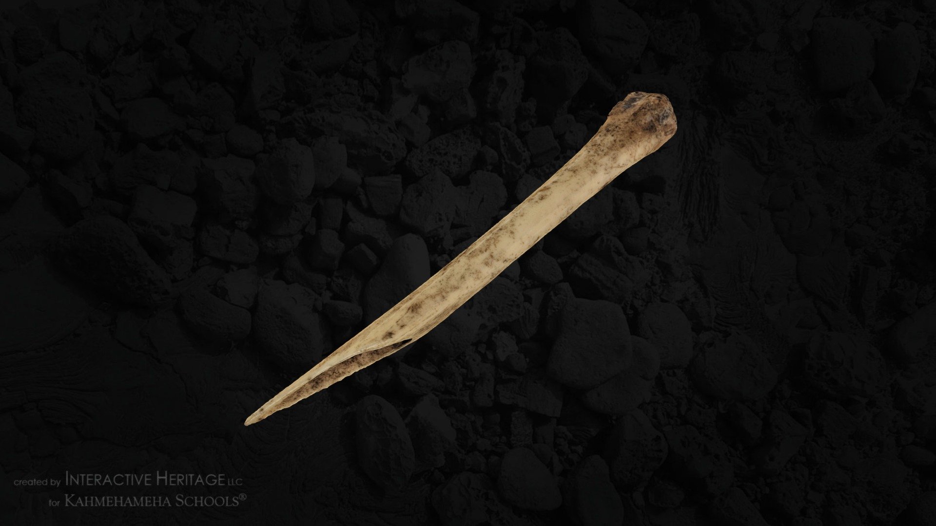Kui houhou - Bird Bone Pick (7962-134) - 3D model by ...