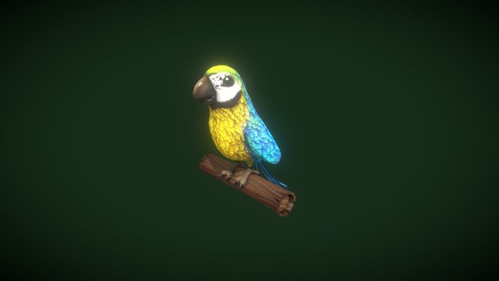 Cartoon-bird 3D models - Sketchfab
