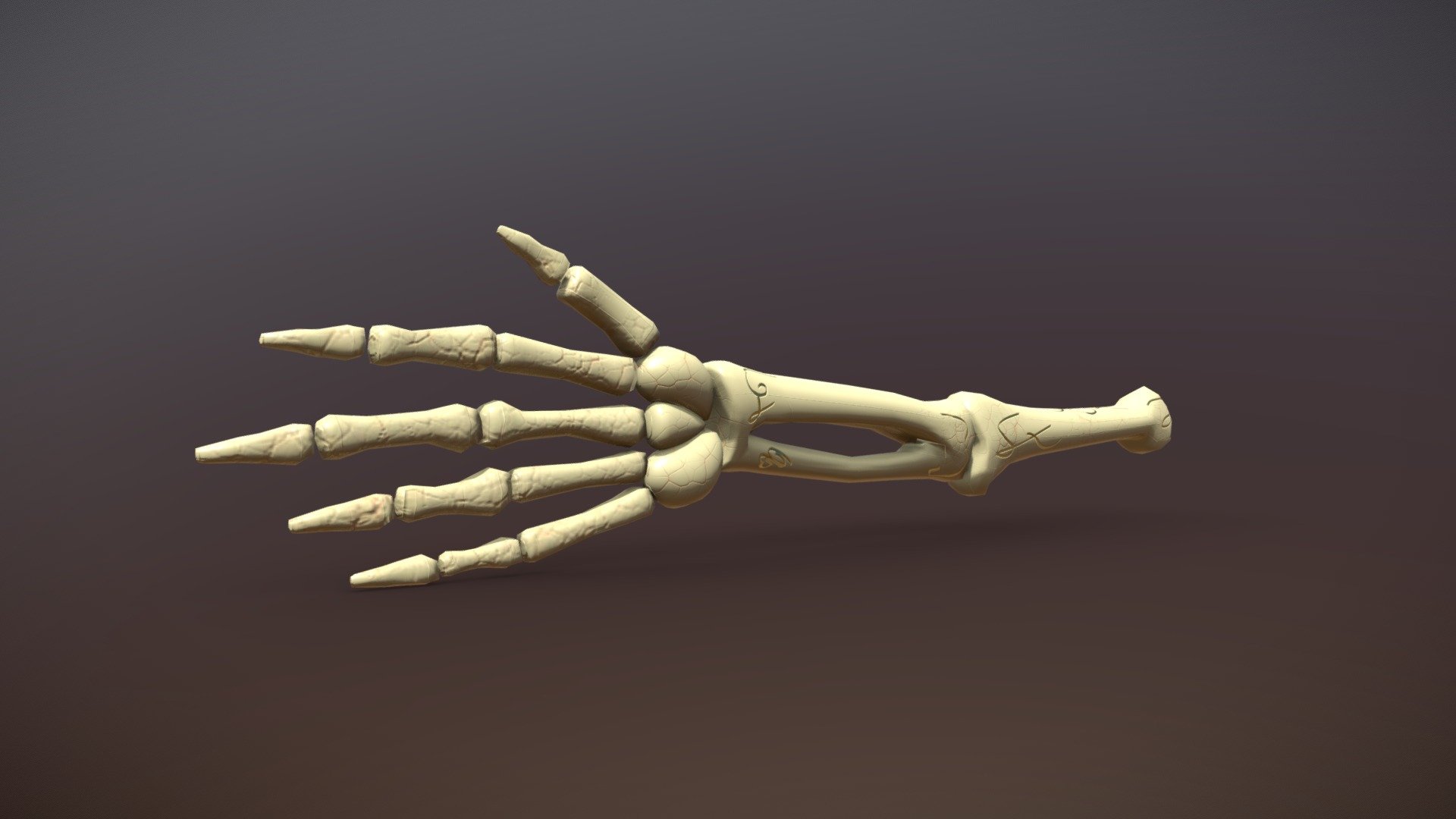 Stylized Skeleton Arm - 3D model by Maxwell Walton (@MaxwellWalton ...