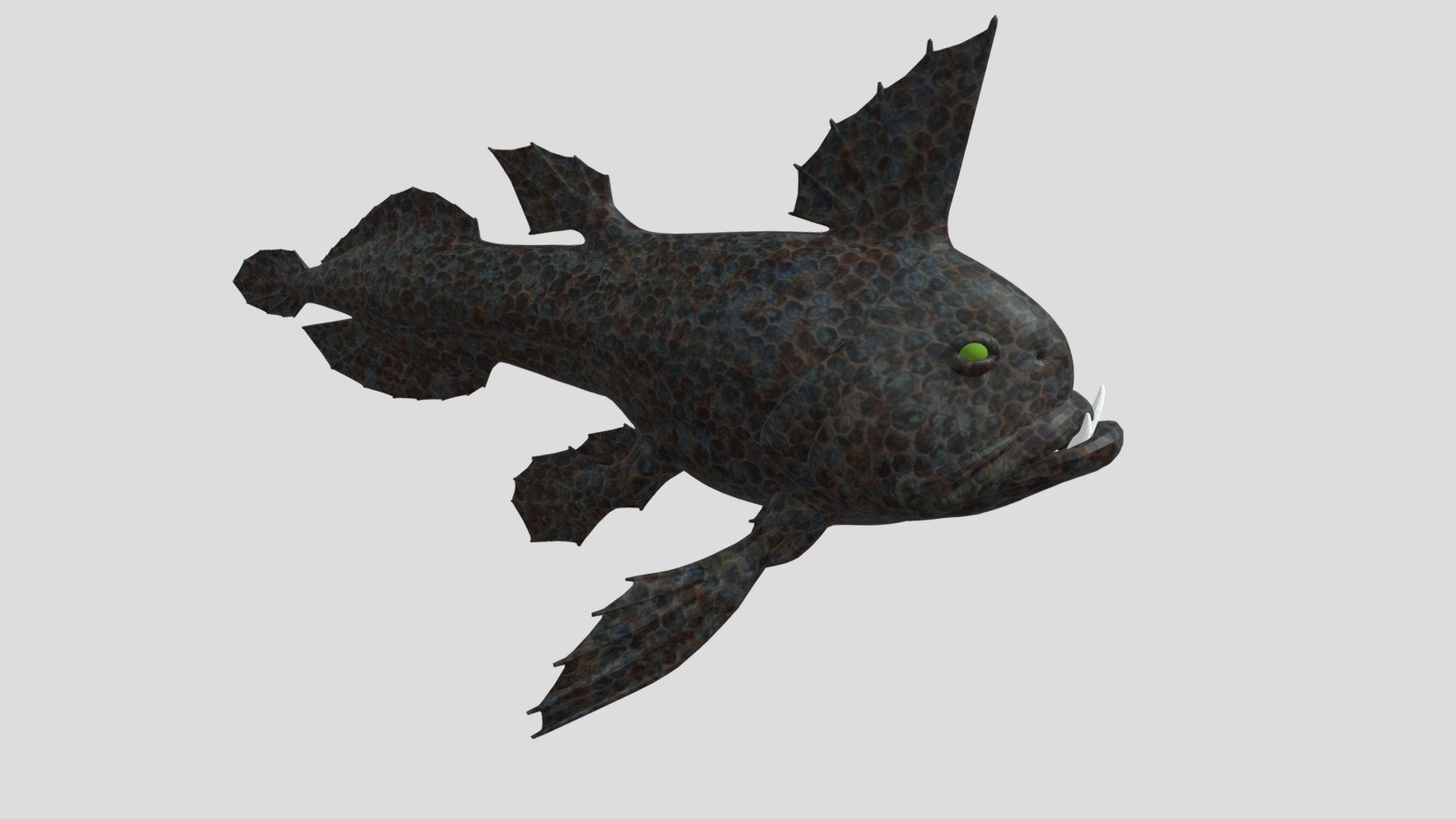 Fighter Fish - 3D model by rakeshCG [b725766] - Sketchfab
