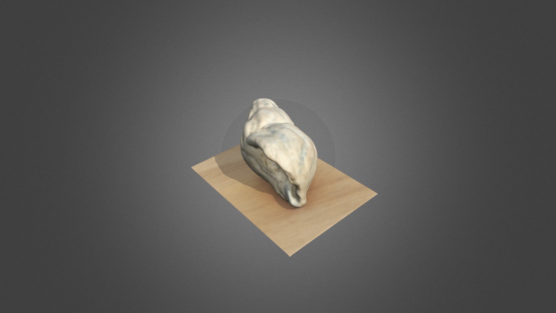 Photogrammetry Workshop - 'Common Whelk Shell' - 3D model by Lauren ...
