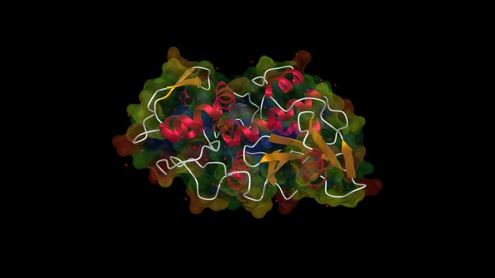 Protein 3D models - Sketchfab