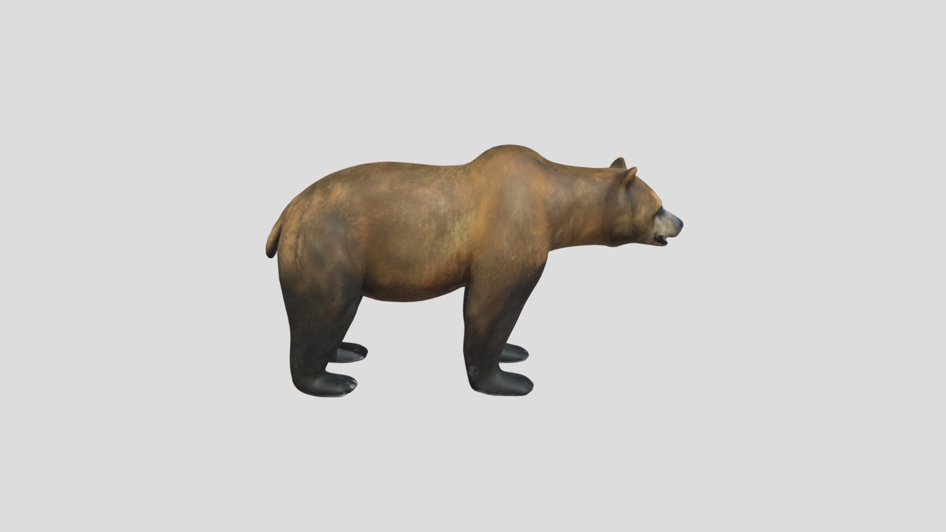 Low-poly Grizzly Bear (Downloadable) - Download Free 3D model by MadInModels [b731573] - Sketchfab