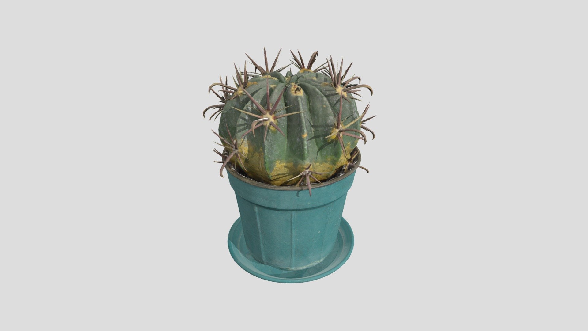 Cactus pot-plant 2 - 3D model by Raminiature (@hamed.hj98) [b73470b ...