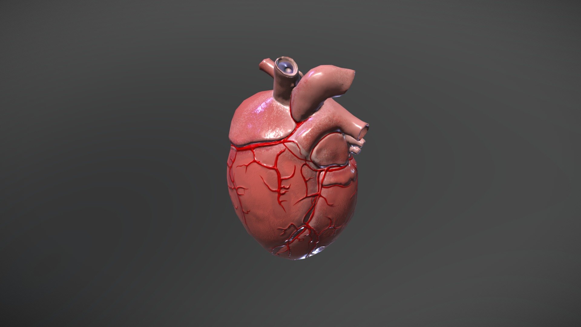 Heart - 3D model by maxkbennett [b73fe52] - Sketchfab