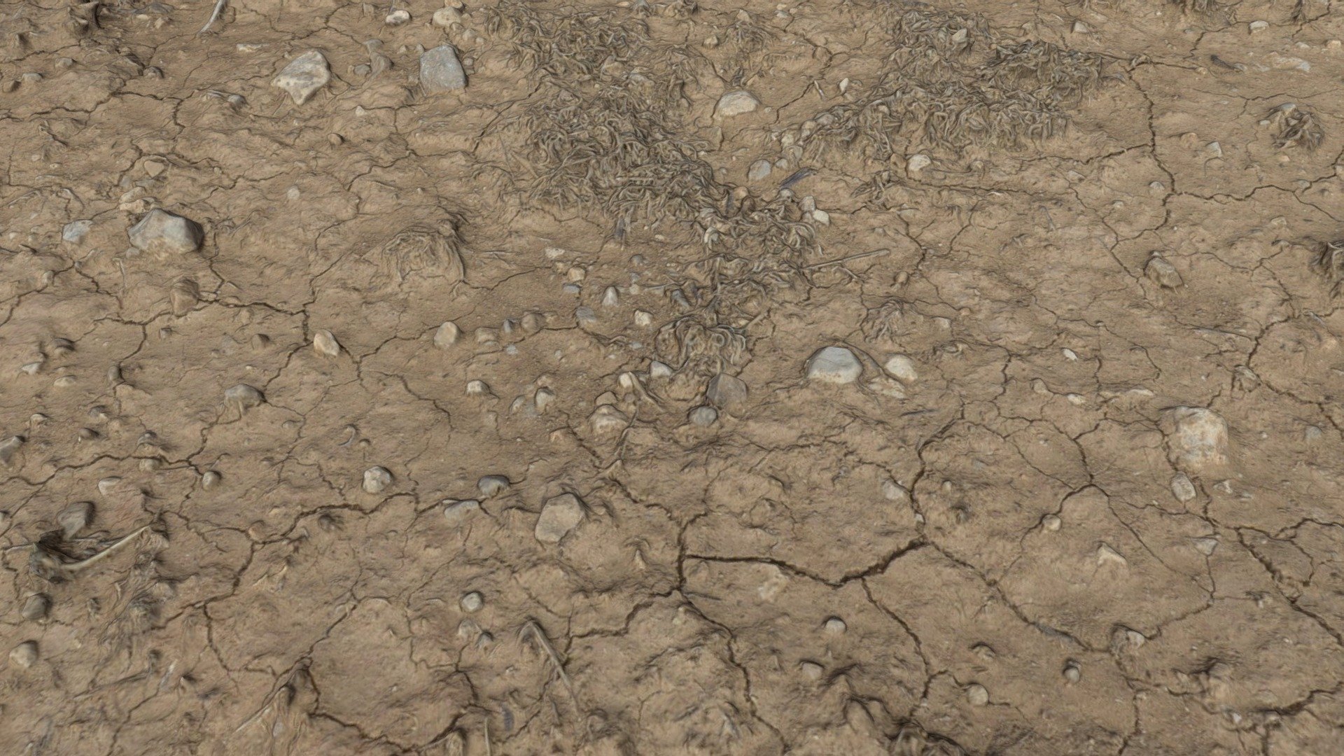 cracked soil - Buy Royalty Free 3D model by yelizegi - PUNTTULANBRO ...