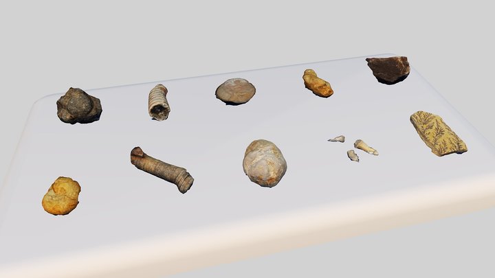 Scann3d-photogrammetry 3D models - Sketchfab