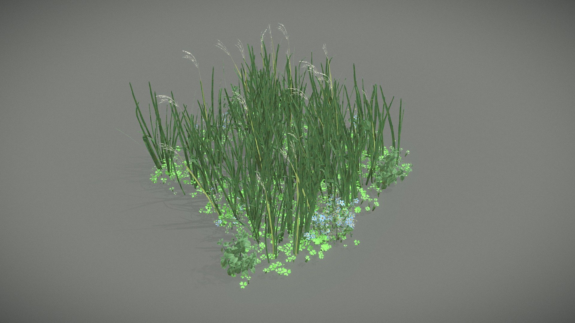Stylized Plants - Download Free 3D model by chris_warstat [b74f2f8 ...