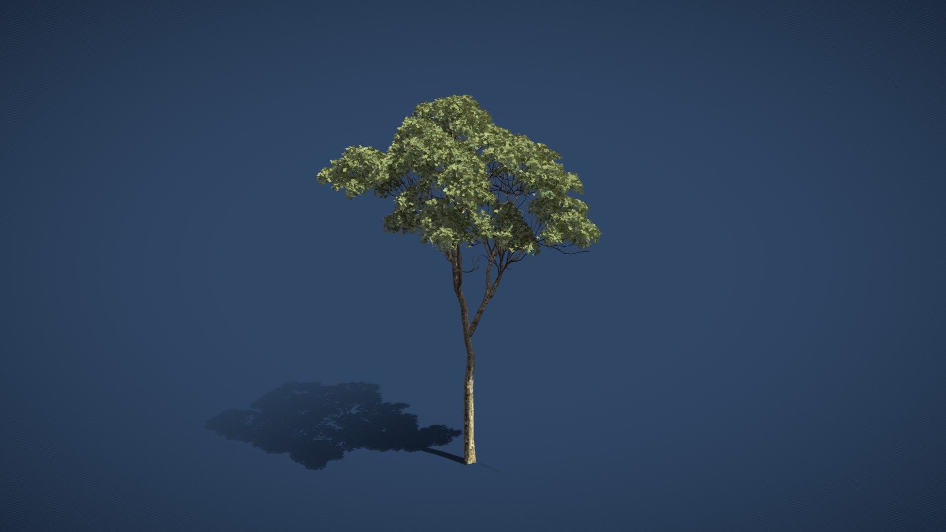 Jungle Tree - Download Free 3D model by gelmi.com.br (@rodrigogelmi ...