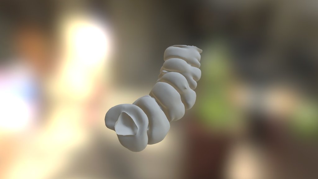 colon - 3D model by nonnarit [b767e32] - Sketchfab