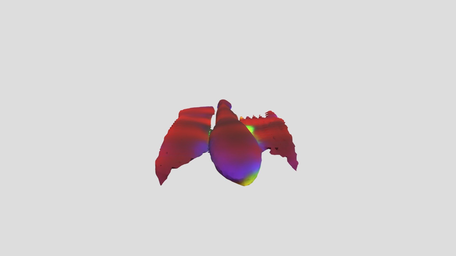 a marrellomorpha arthropod - Download Free 3D model by Mirage ...