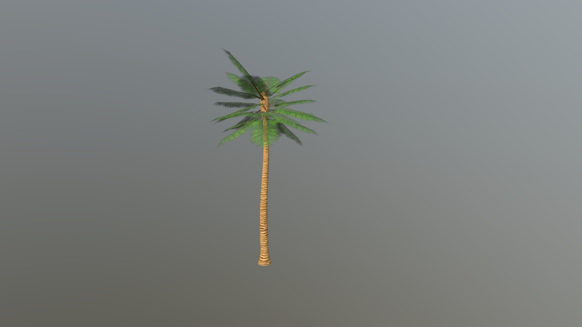 Palm Tree - 3D model by tatervader [b77650c] - Sketchfab