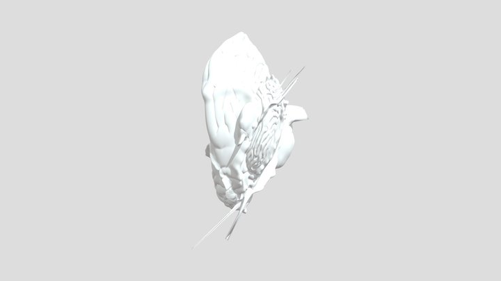 Cocoon 3D models - Sketchfab