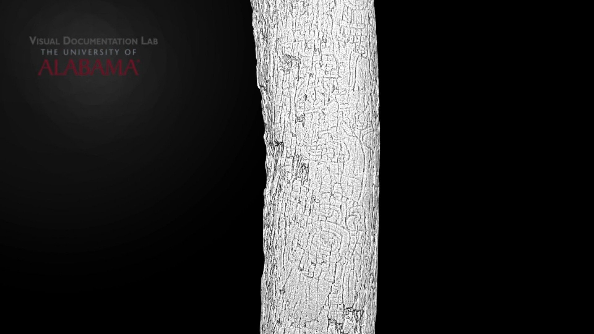 CKM Bone 3 high res (matcap) - 3D model by Alexandre Tokovinine ...