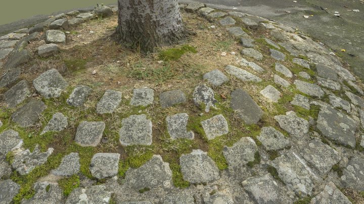 Sidewalk 3D models - Sketchfab