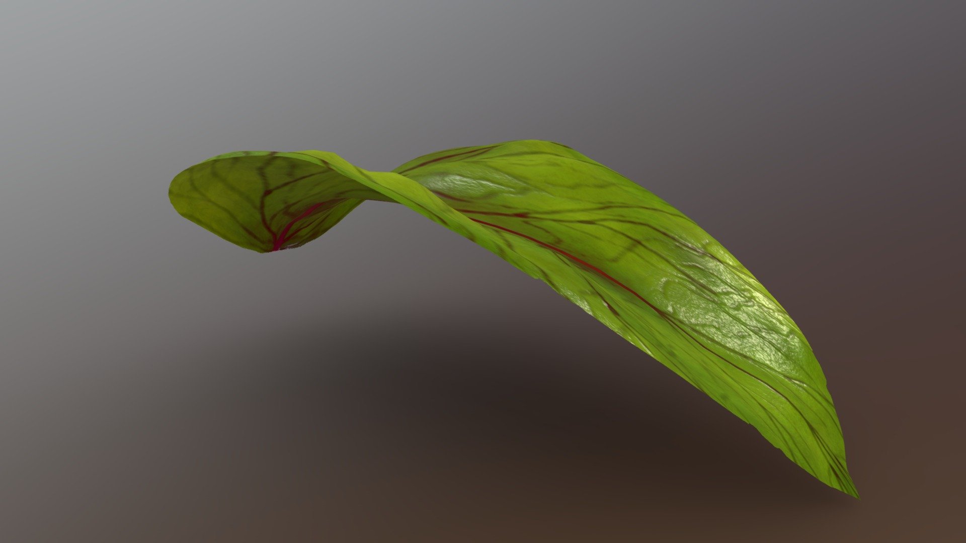 Big Leaf - Download Free 3D model by Kade.Wolfe [b785fa1] - Sketchfab