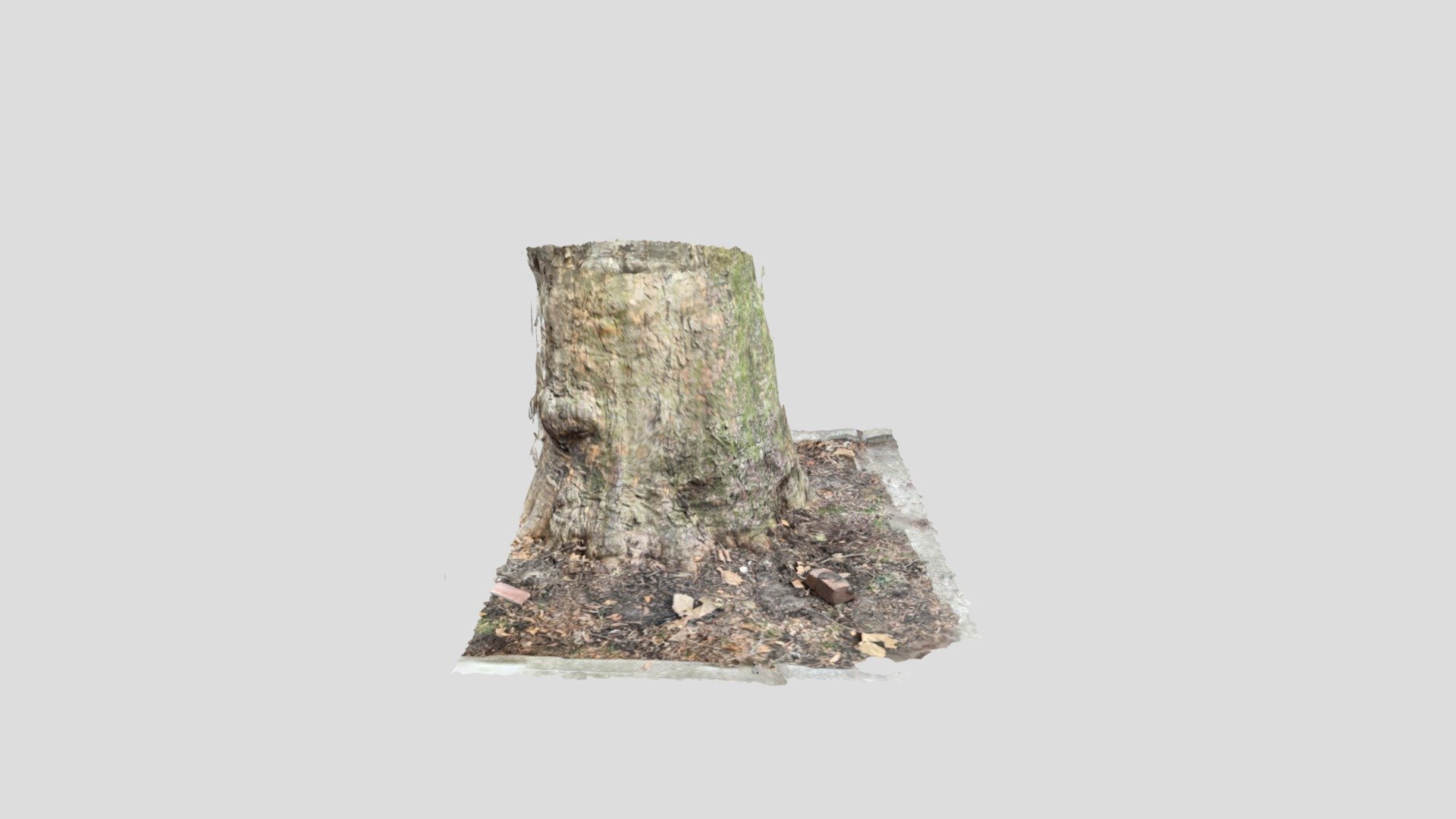 Tree trunk with a hole in it - Download Free 3D model by RYOkEkEN ...